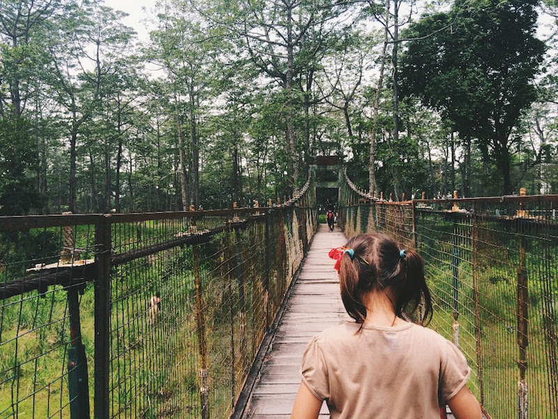 Undocumented Children - Loom International